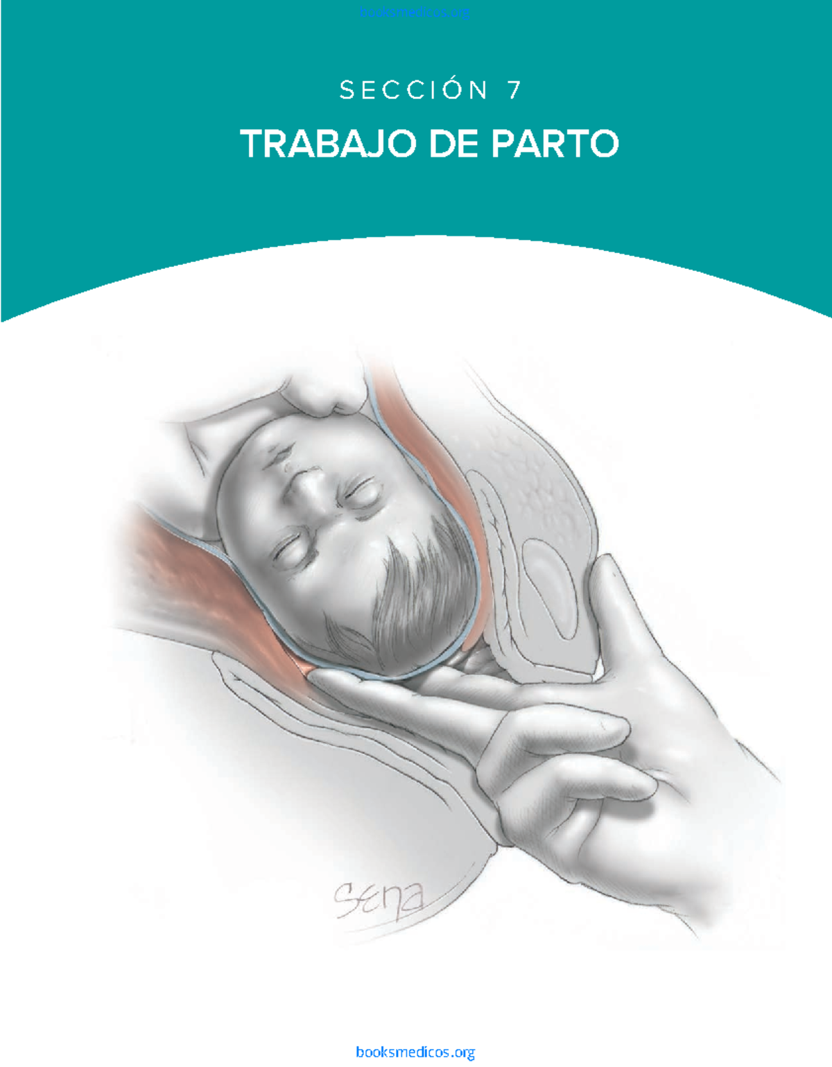 Williams Obstetricia 25a Edicion-417-473 - S E C C I Ó N 7 TRABAJO DE ...