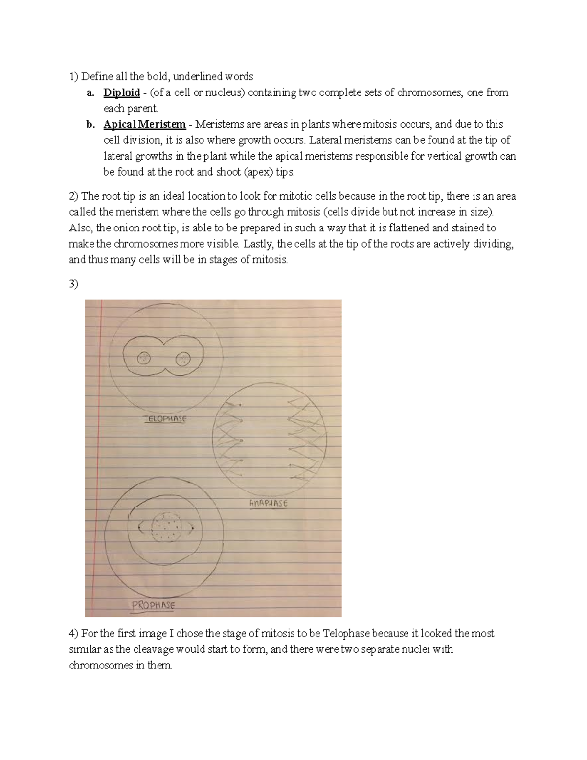 2019-fundamentals of biology(biology 100)-lab5 - Define all the bold ...