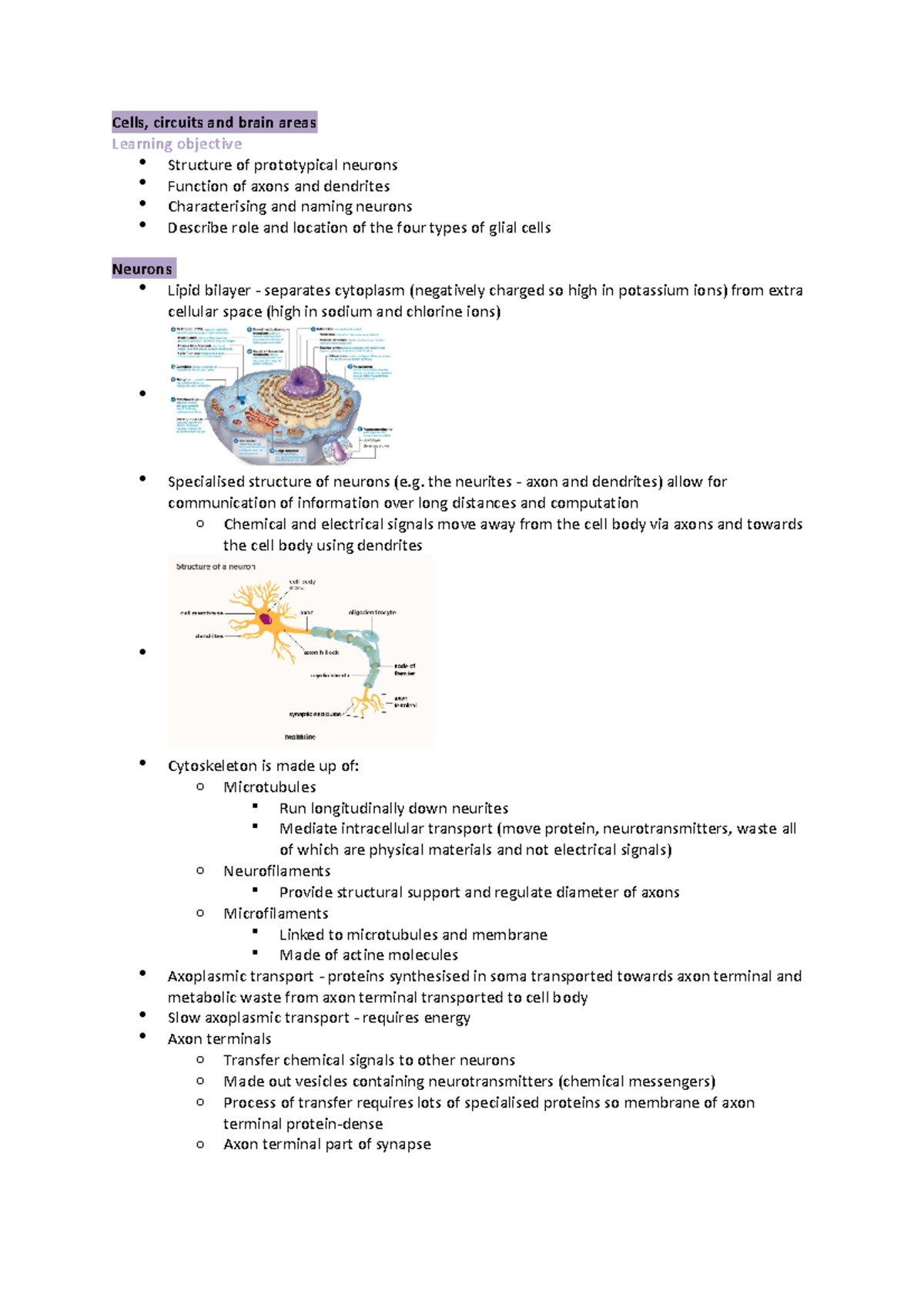 Week 1-3 notes - Cells, circuits and brain areas Learning objective ...