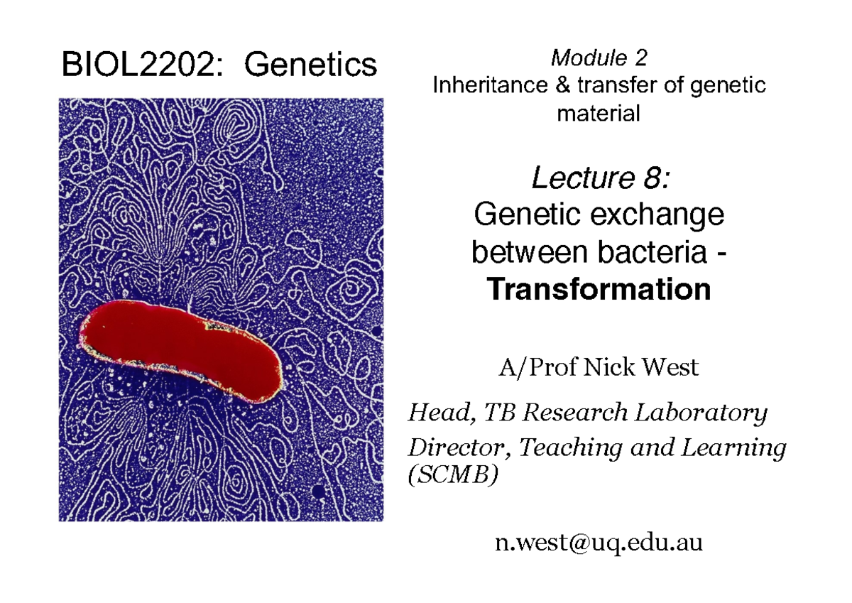 Lecture 8 Transformation 1 slide per page - Module 2 Inheritance ...