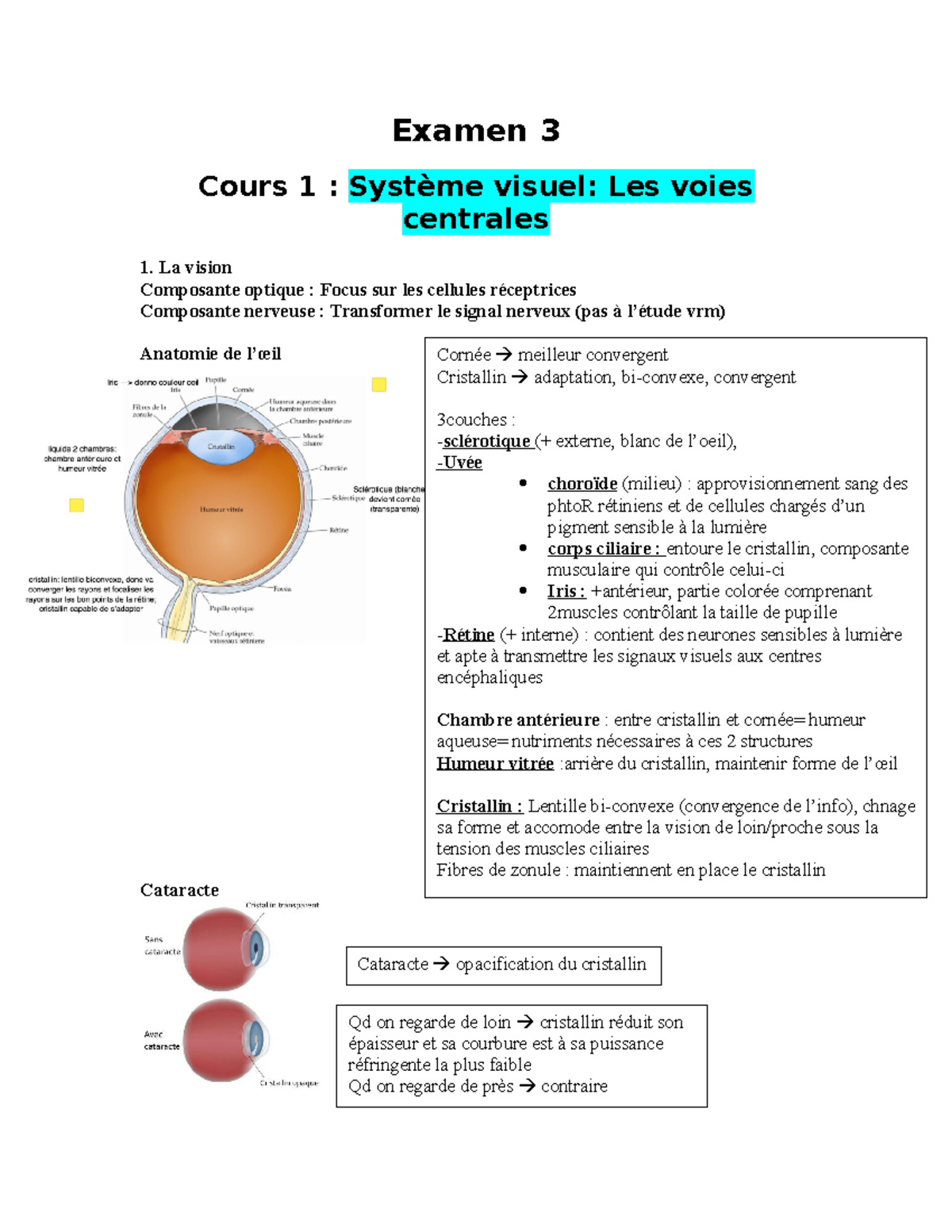 Examen 3 - Examen 3 Cours 1 : Système visuel: Les voies centrales 1. La ...
