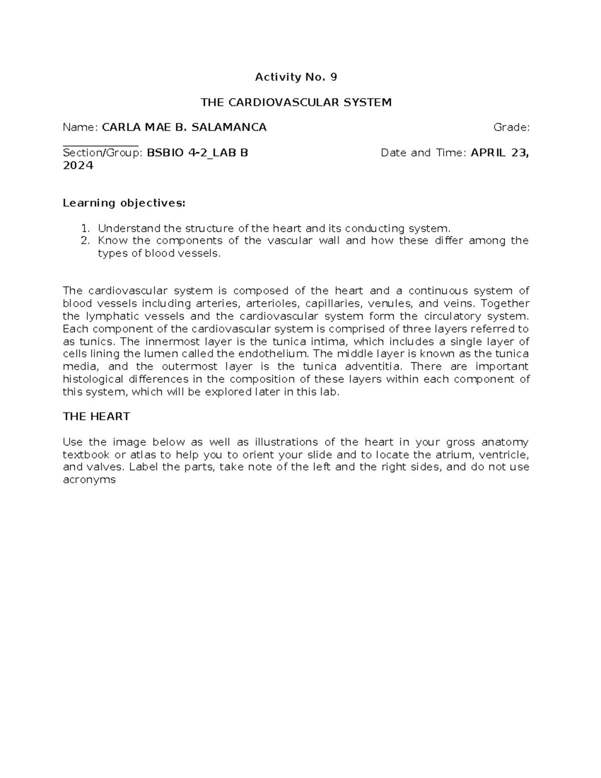 9.0 Activity#9 Cardiovascular System - Activity No. 9 THE ...