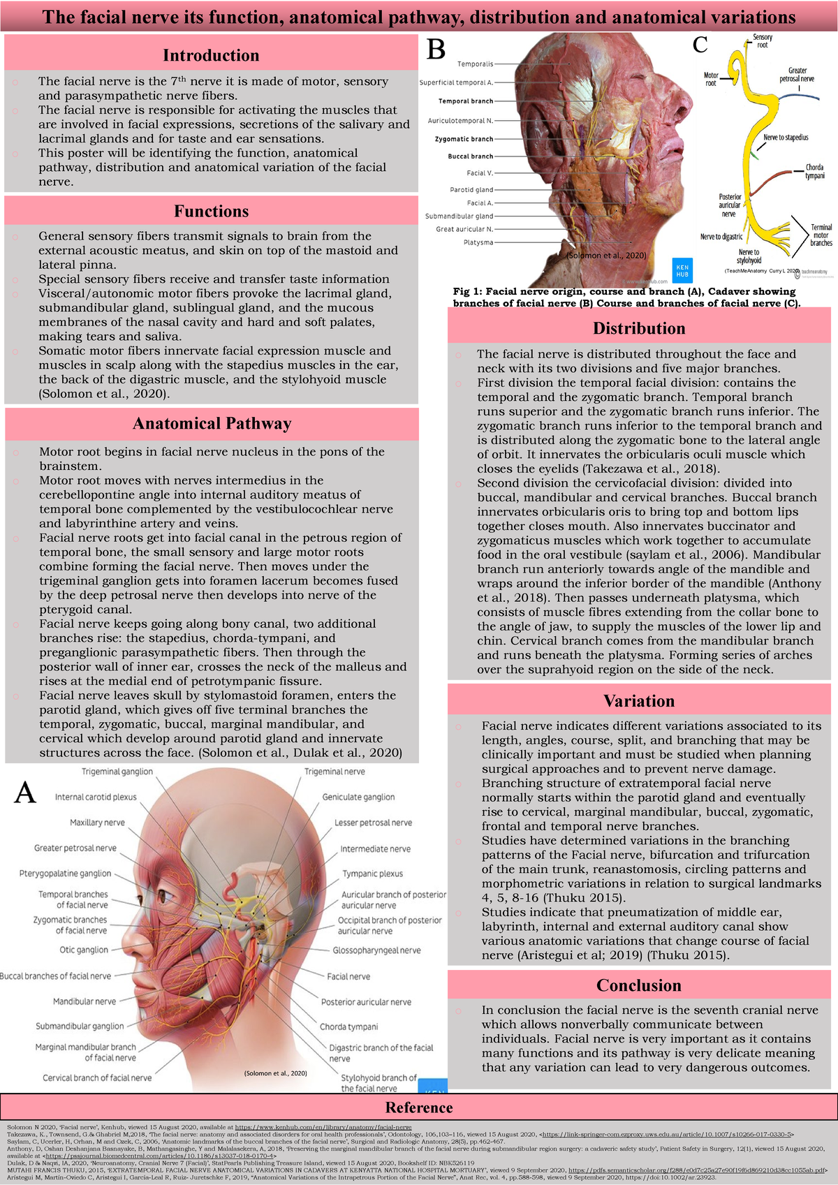 Facial nerve poster 2020 pdf final task - The facial nerve its function ...