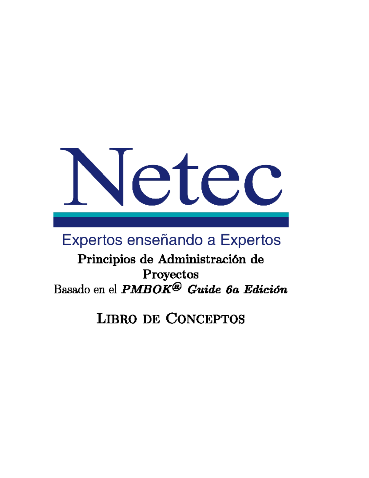 LIbro de conceptos Principio de Direcci n de Proyectos - Netec Expertos enseñando a Expertos ...