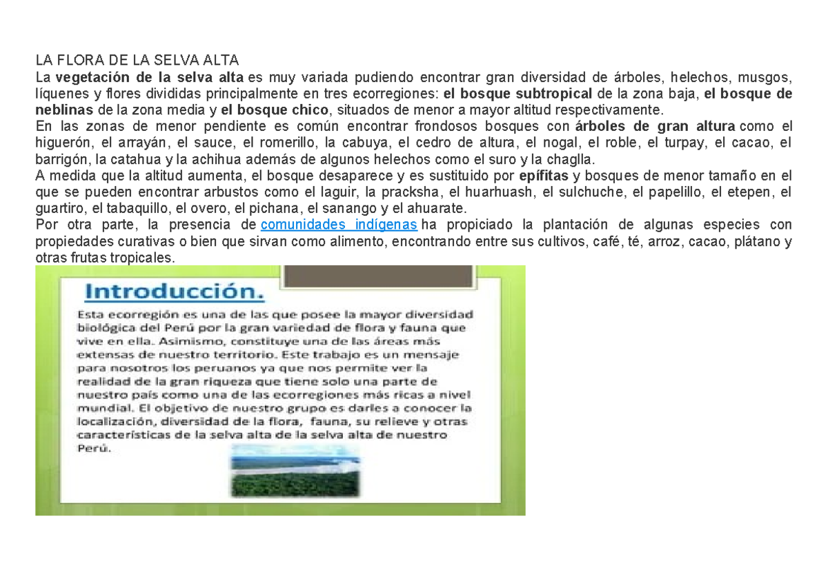LA Flora DE LA Selva ALTA - LA FLORA DE LA SELVA ALTA La vegetación de ...
