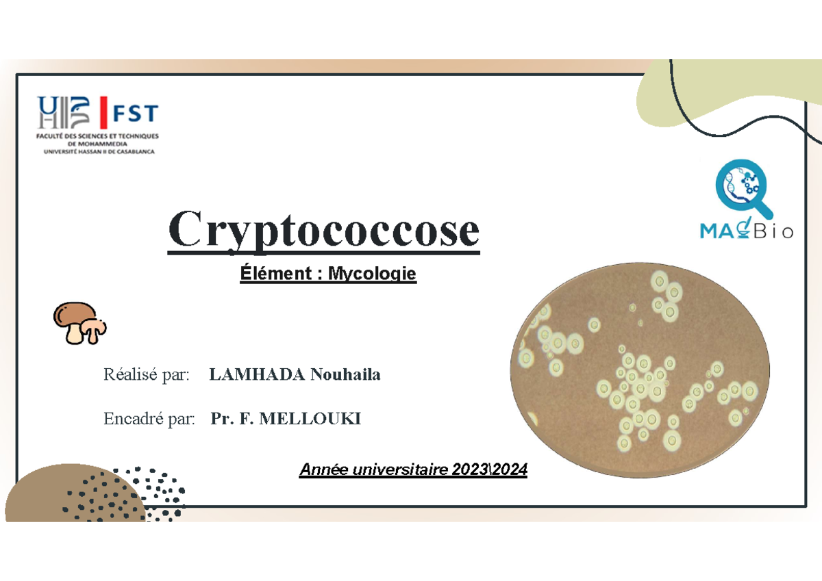 Cryptococcose exposé - Cryptococcose Réalisé par: LAMHADA Nouhaila ...