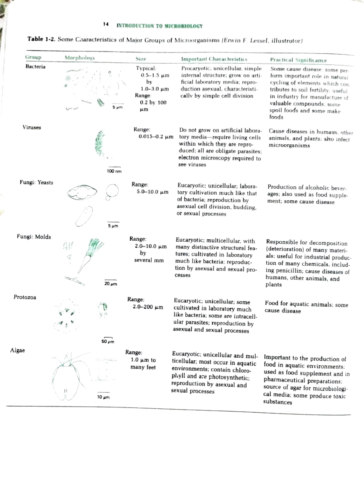 Characteristics of microorganisms - 14 INTRoDUCTION TOo MICROBIOLOGY ...