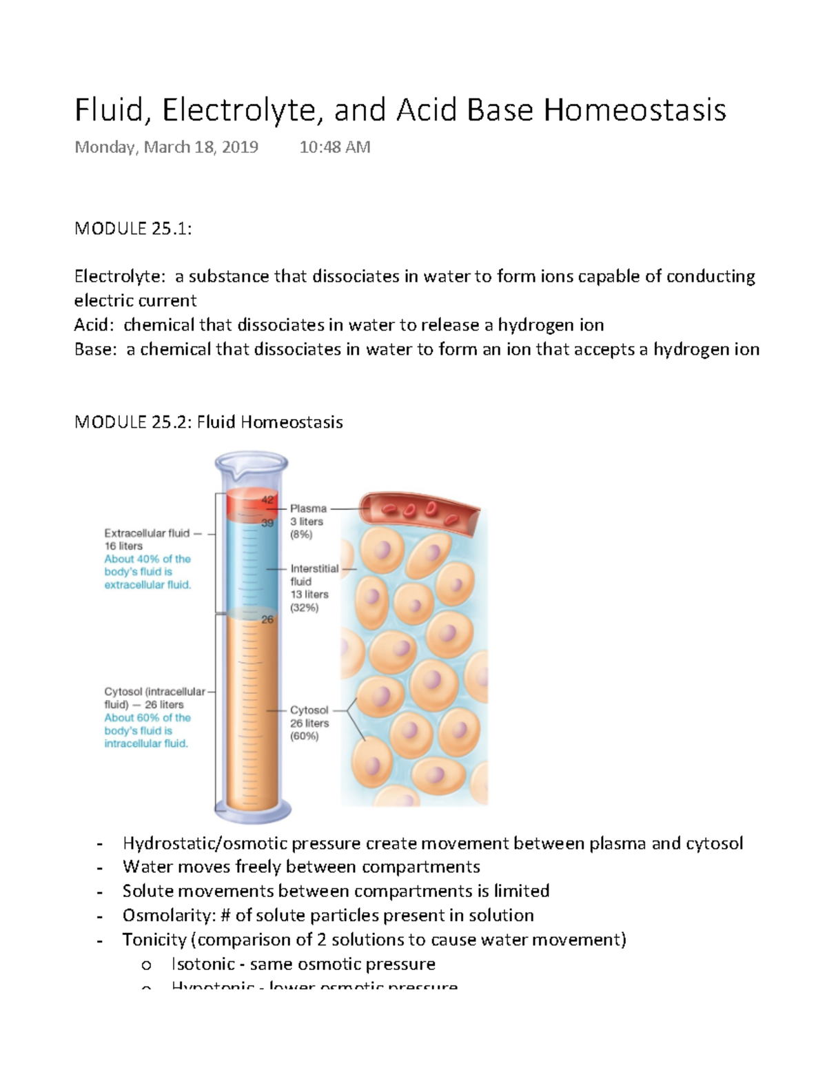 Homeostasis - First-year nursing anatomy and physiology exam notes NURS ...