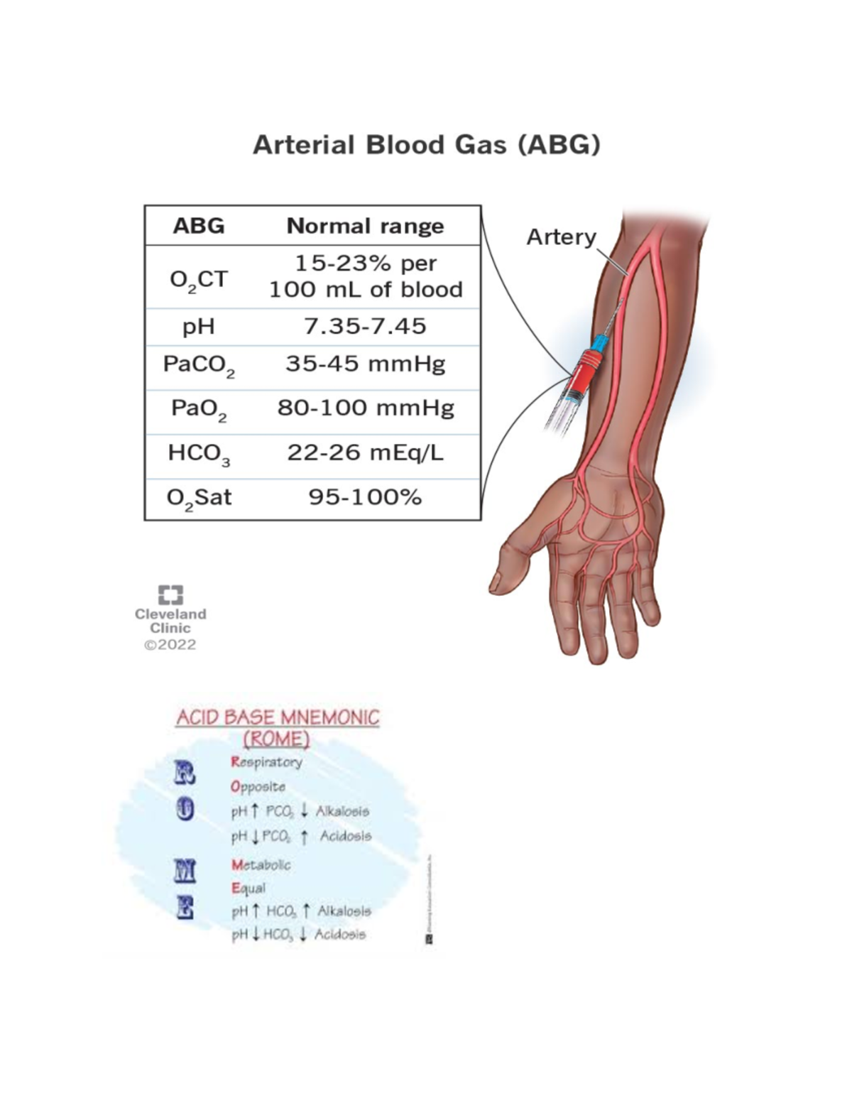 Arterial blood gases - ABGs - NUR1211 - Studocu