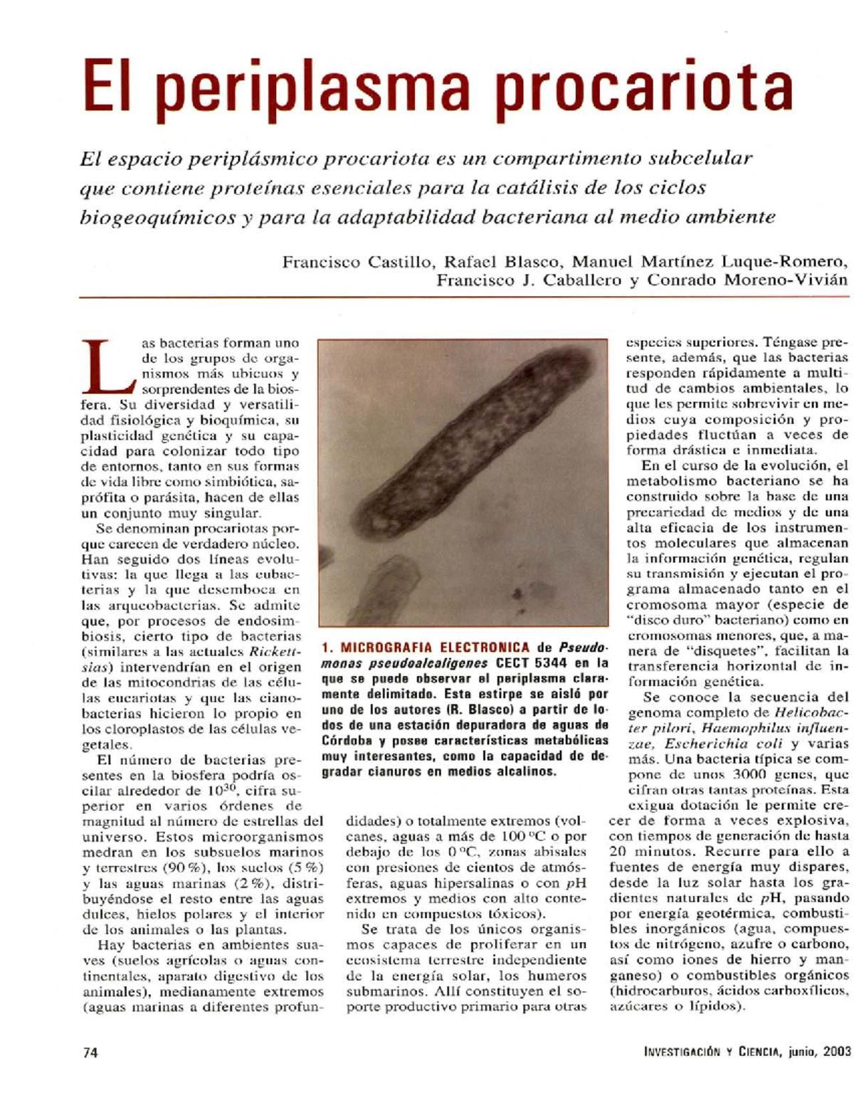 Castillo F et al. (2003 ) Articulo El periplasma procariote ...