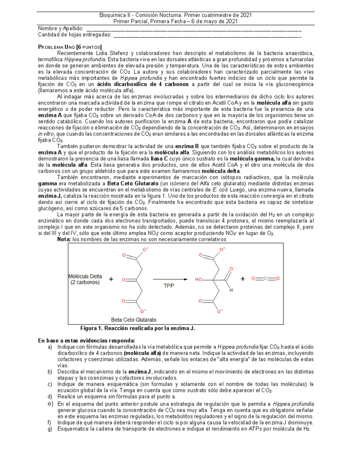 1P1F 1C 2021 Final - Modelos de parcial - Bioquímica II - Comisión Nocturna. Primer cuatrimestre ...