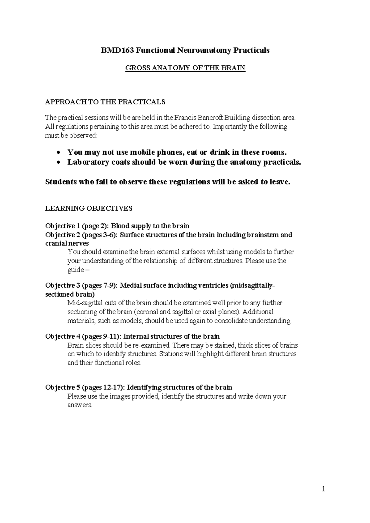 BB brain dissection 2024 - BMD163 Functional Neuroanatomy Practicals ...