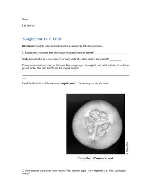 BY103Spoon 20413622 Cell Membranes Transport Diffusionand Osmosis ...
