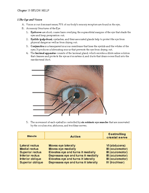 Anatomy and physiology ii overview for lecture classes (5a) - BSC 1086 ...