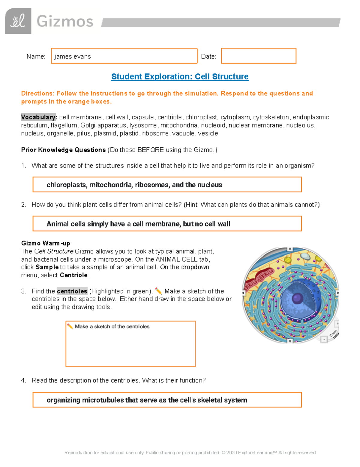 James Student - Cell Structure SE - Name: james evans Date: Student ...