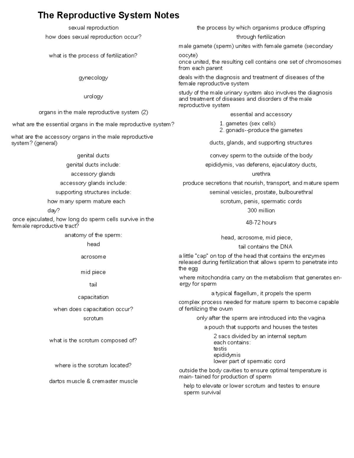 The Reproductive System Notes - The Reproductive System Notes sexual ...