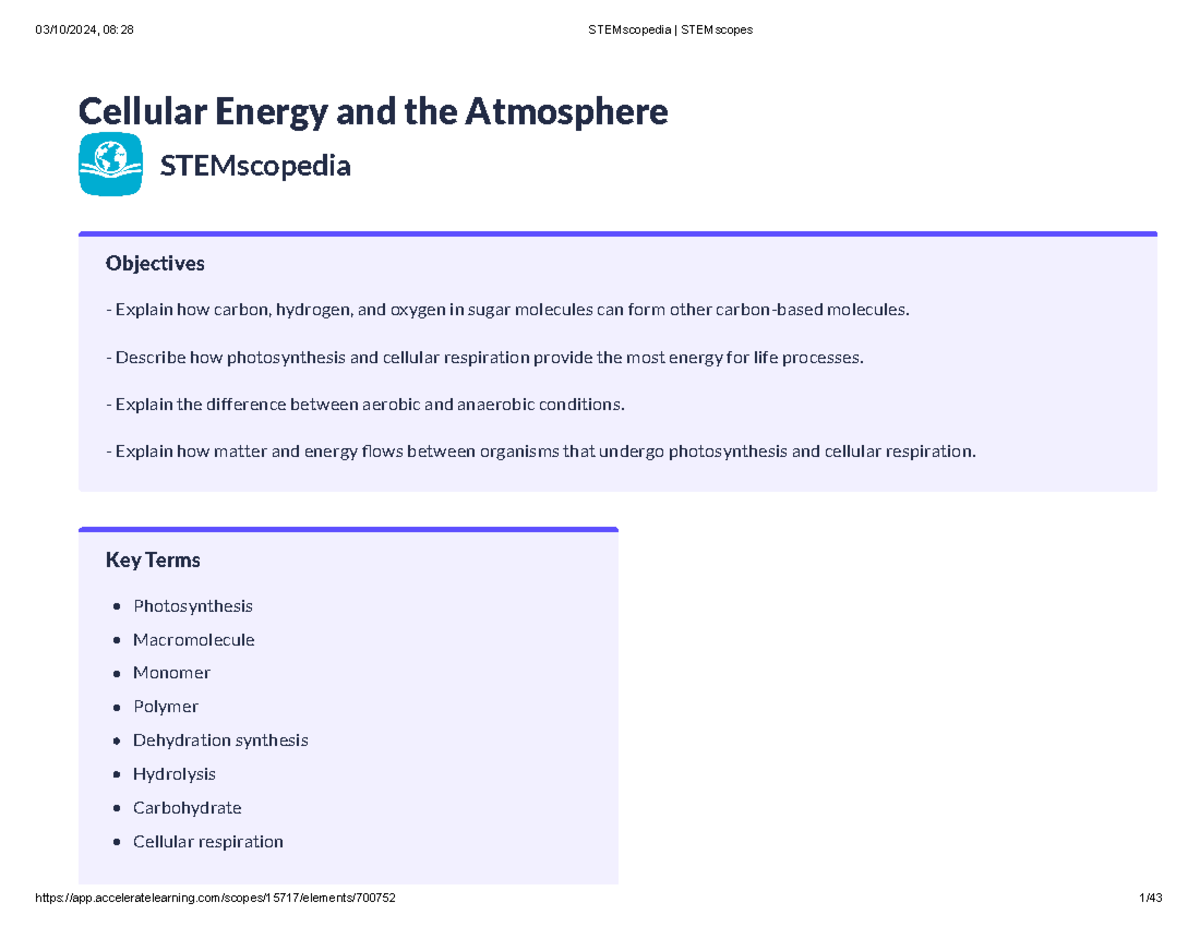 Cellular Energy and the Atmosphere - Cellular Energy and the Atmosphere ...