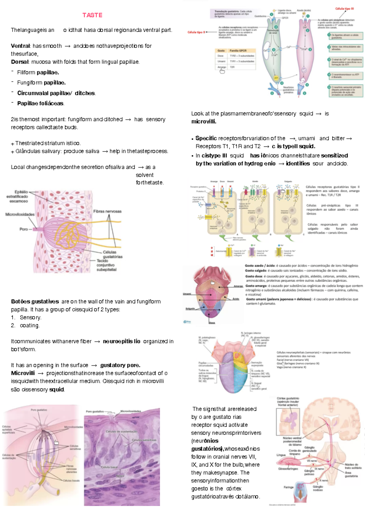 Taste - Clinical Psychology - TASTE Thelanguageis an o idthat hasa ...