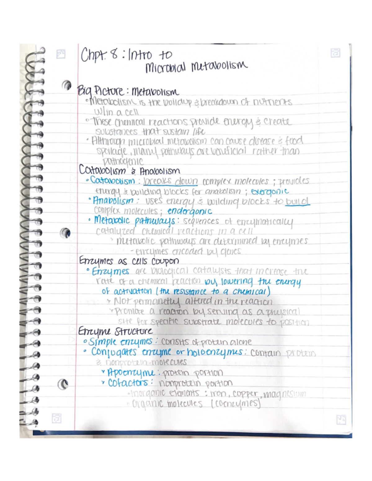 Chapter 8 Notes Bio 203 Studocu