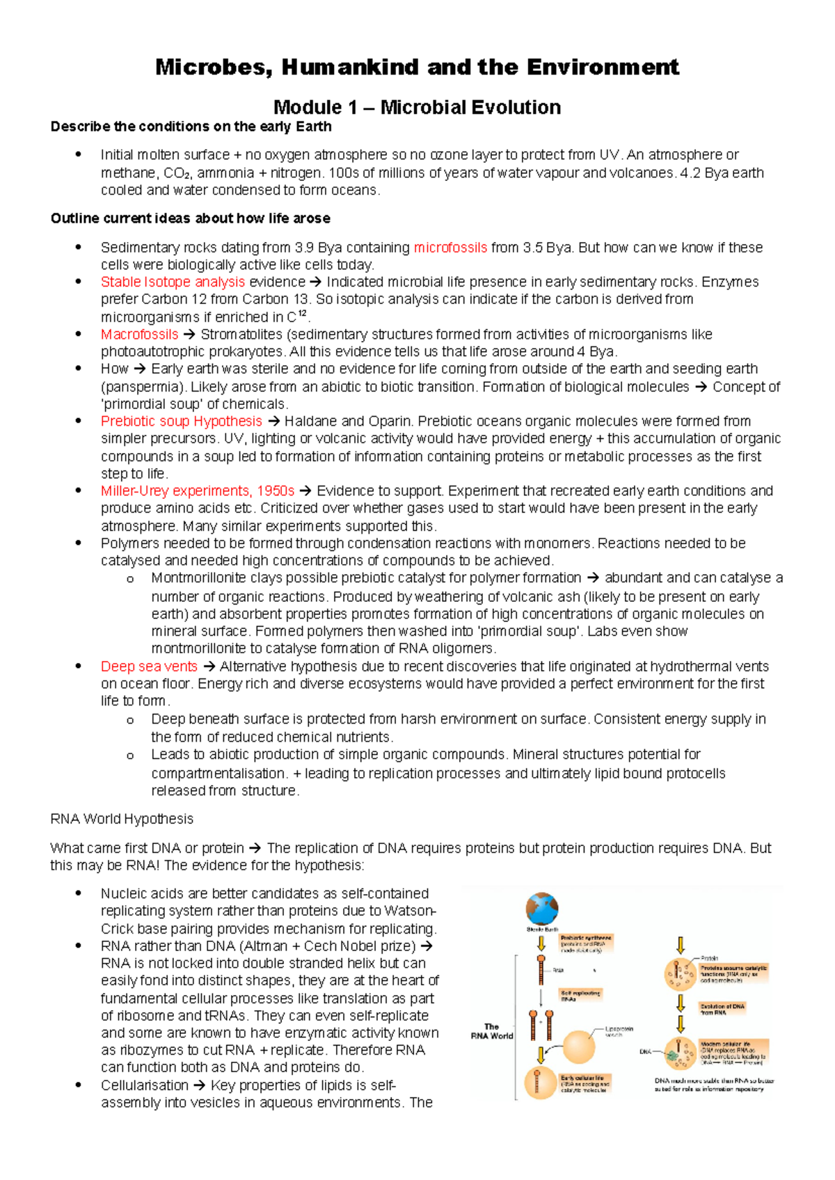 MHE lecture notes - Microbes, Humankind and the Environment Module 1 ...