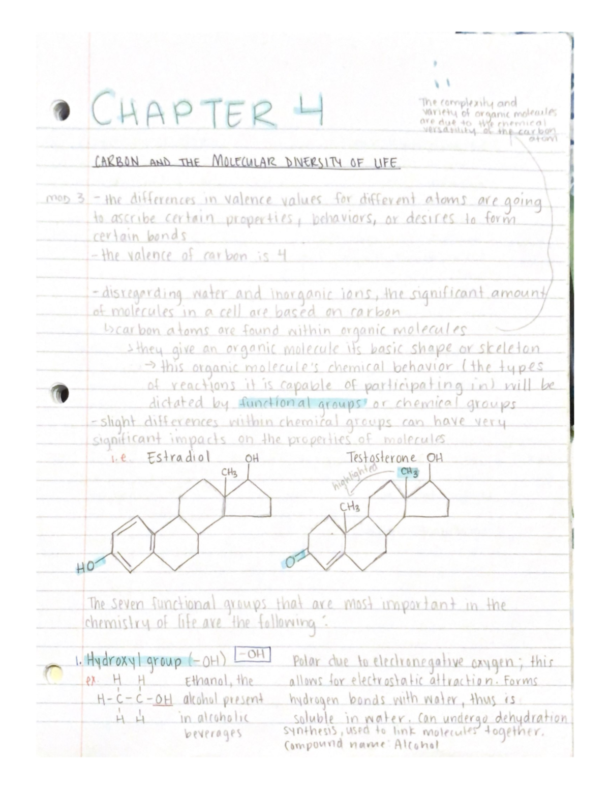 Bio 100 Chapter 4: Carbon and the Molecular Diversity of Life - BIO100 ...