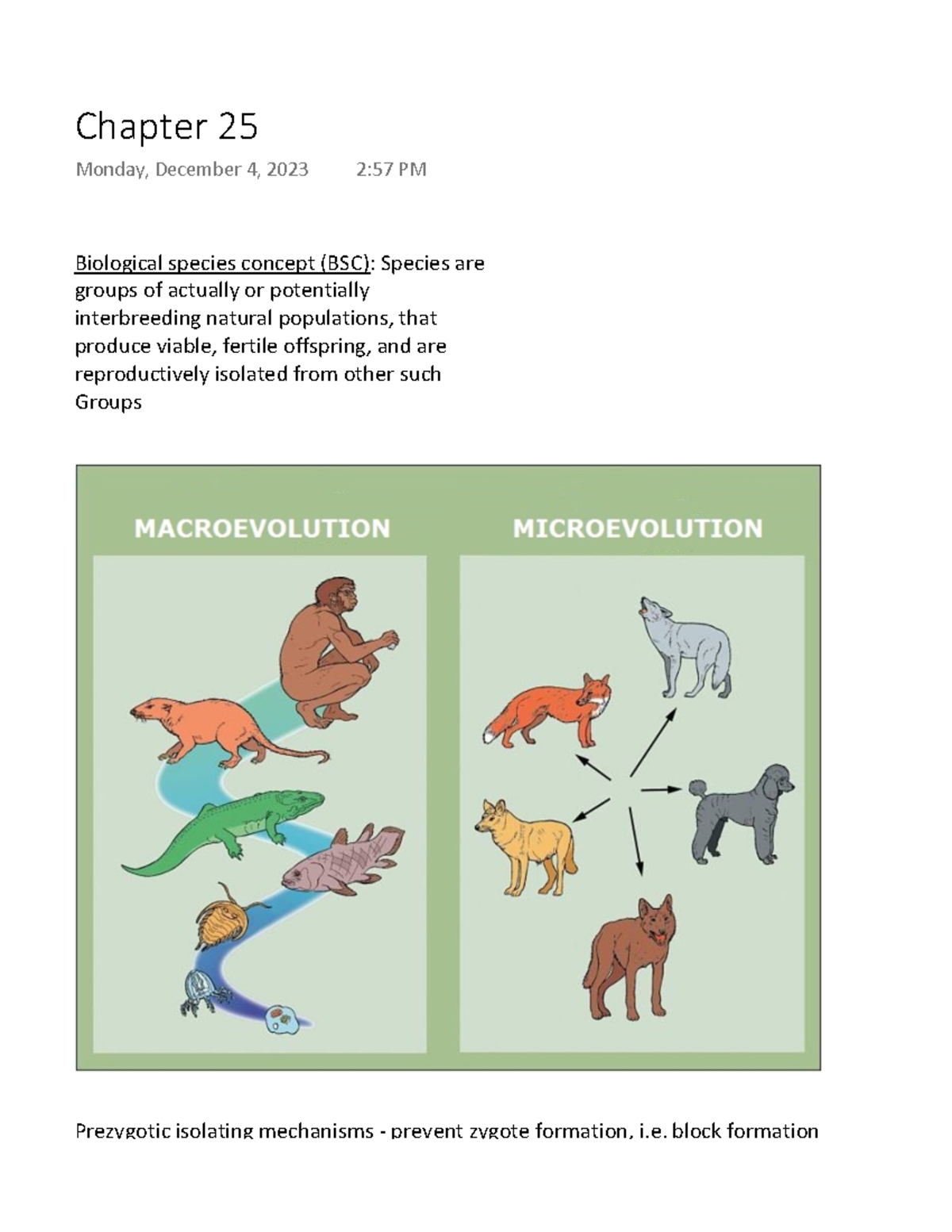 Chapter 24 & 25 - Biological species concept (BSC): Species are groups ...