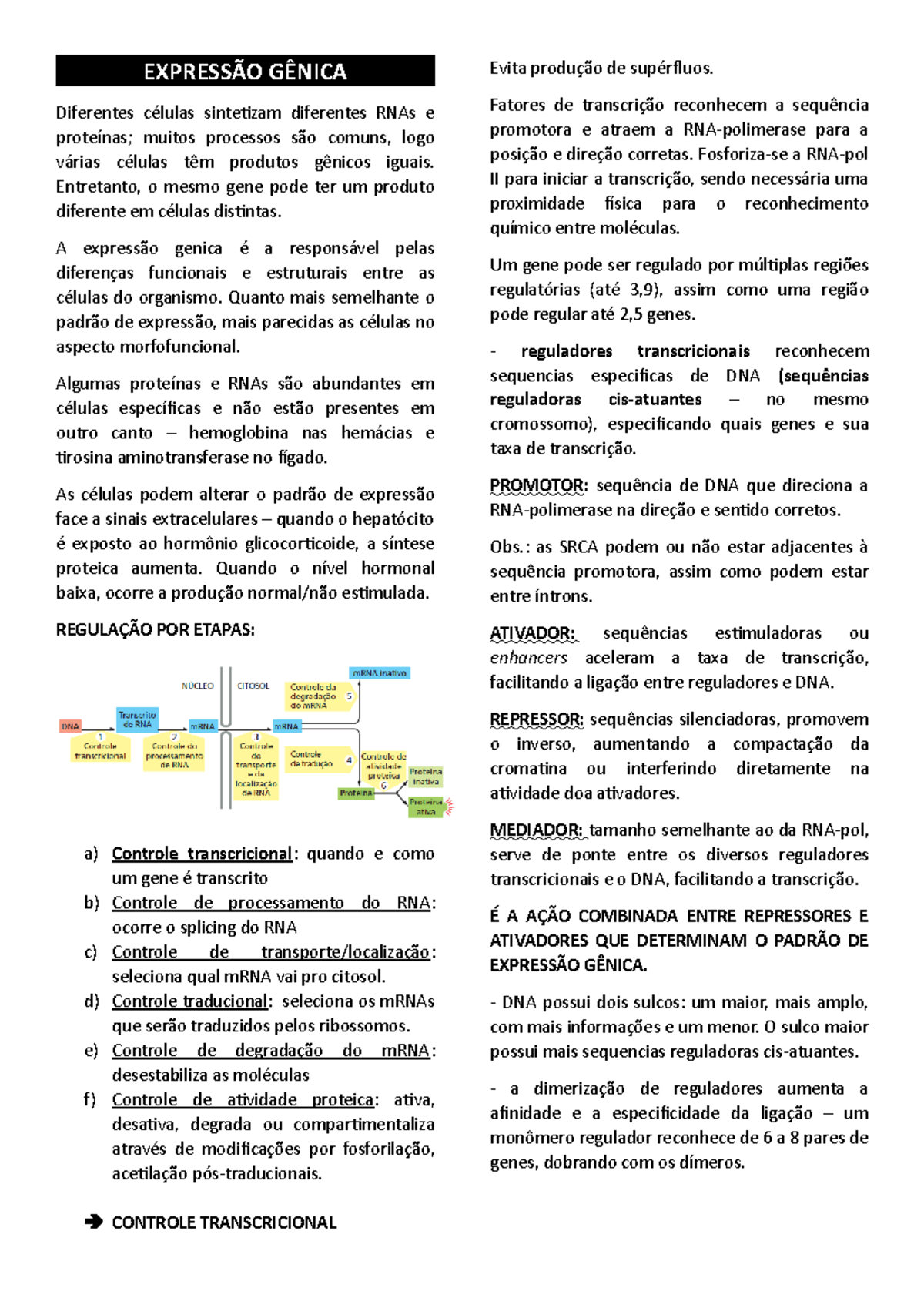 Expressão Gênica - Genética - EXPRESSÃO GÊNICA Diferentes células ...