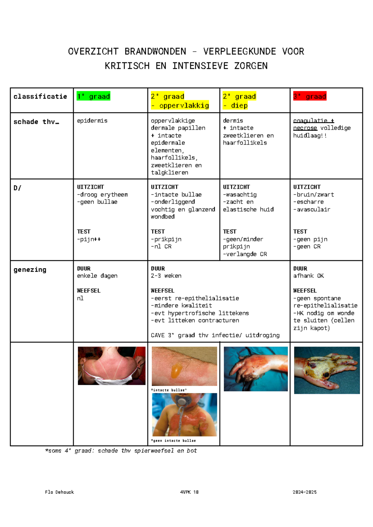 Overzicht Brandwonden - Intensieve Zorgen - OVERZICHT BRANDWONDEN ...