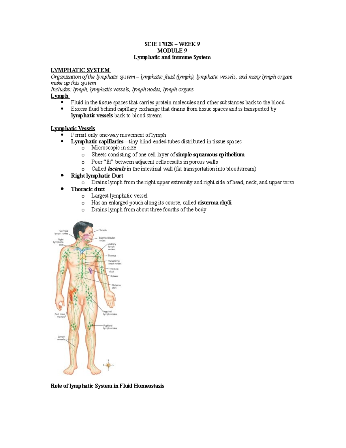 SCIE17028: Module 9 - Lymphatic and Immune System - Lecture Notes ...