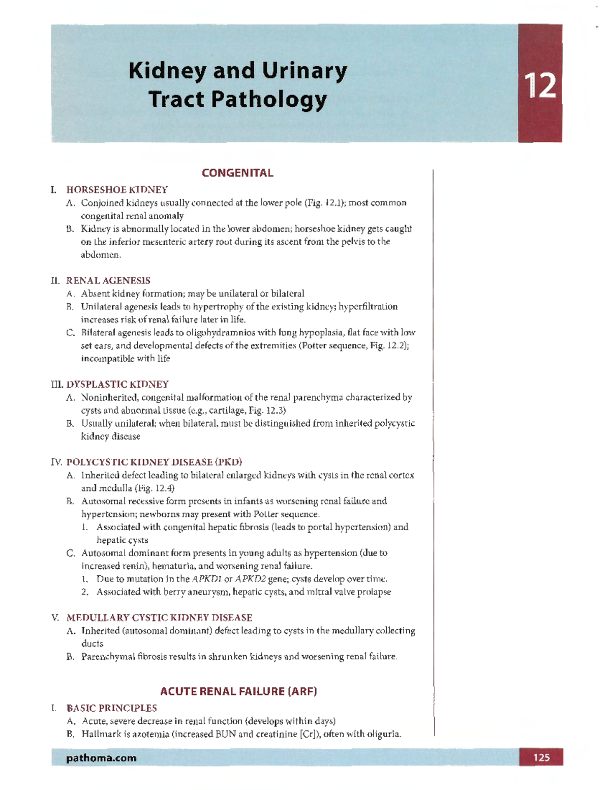 Kidney and Urinary Tract Pathology - Kidney and Urinary Tract Pathology ...