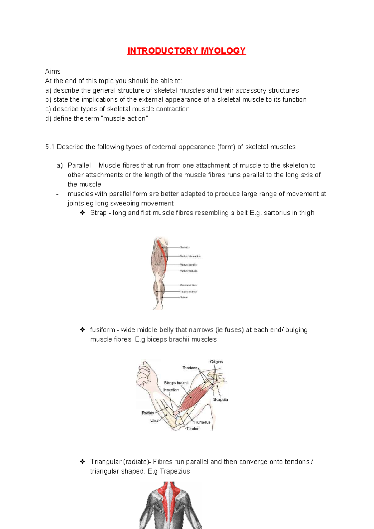 Introductory Myology and muscle tissue Wk 3 - INTRODUCTORY MYOLOGY Aims ...