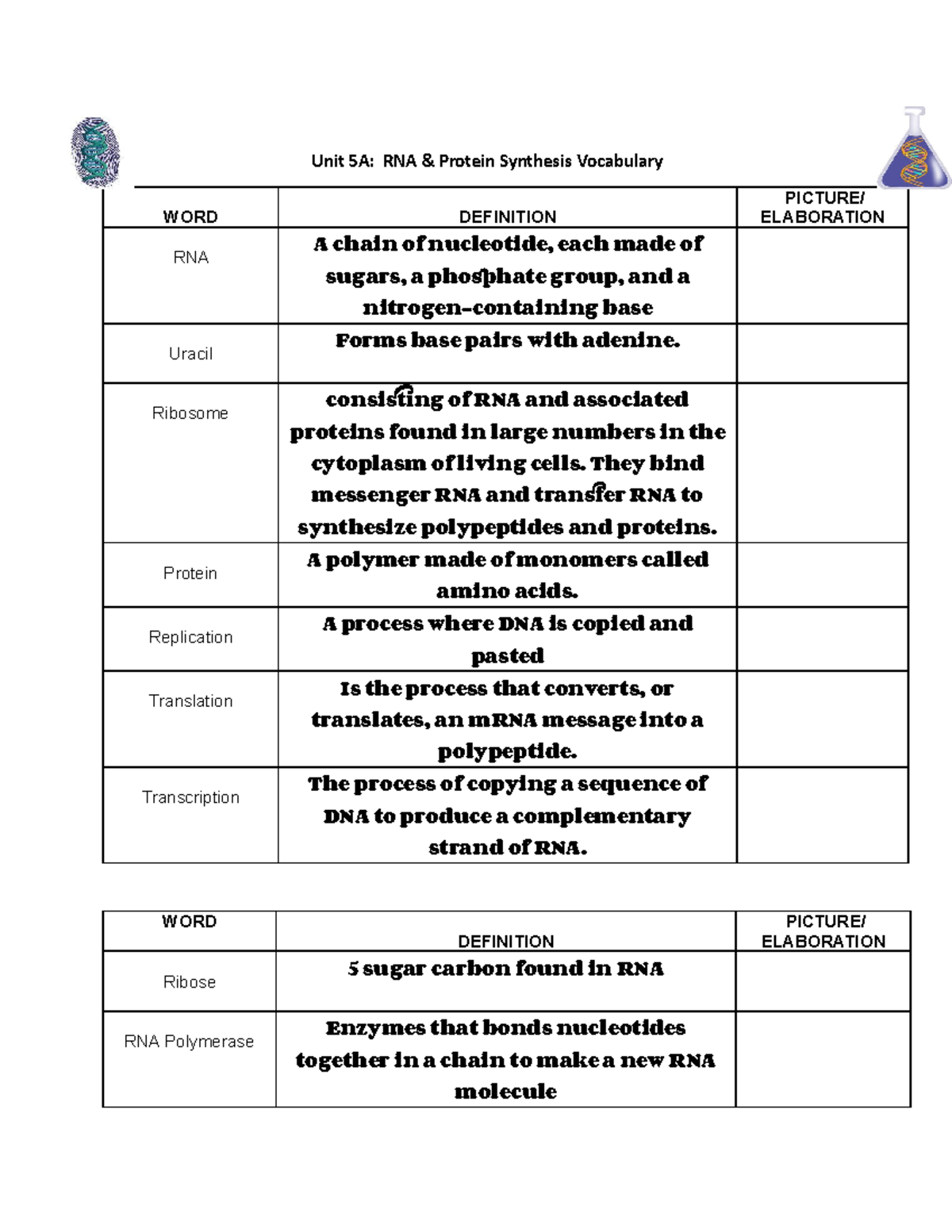 Merida RNA & Protein Synthesis Vocab - Unit 5A: RNA & Protein Synthesis ...