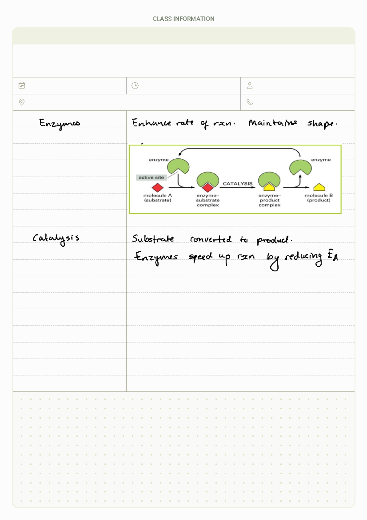 Enzymes 230511 222547 - Introduction to Biochemistry and the Biological ...