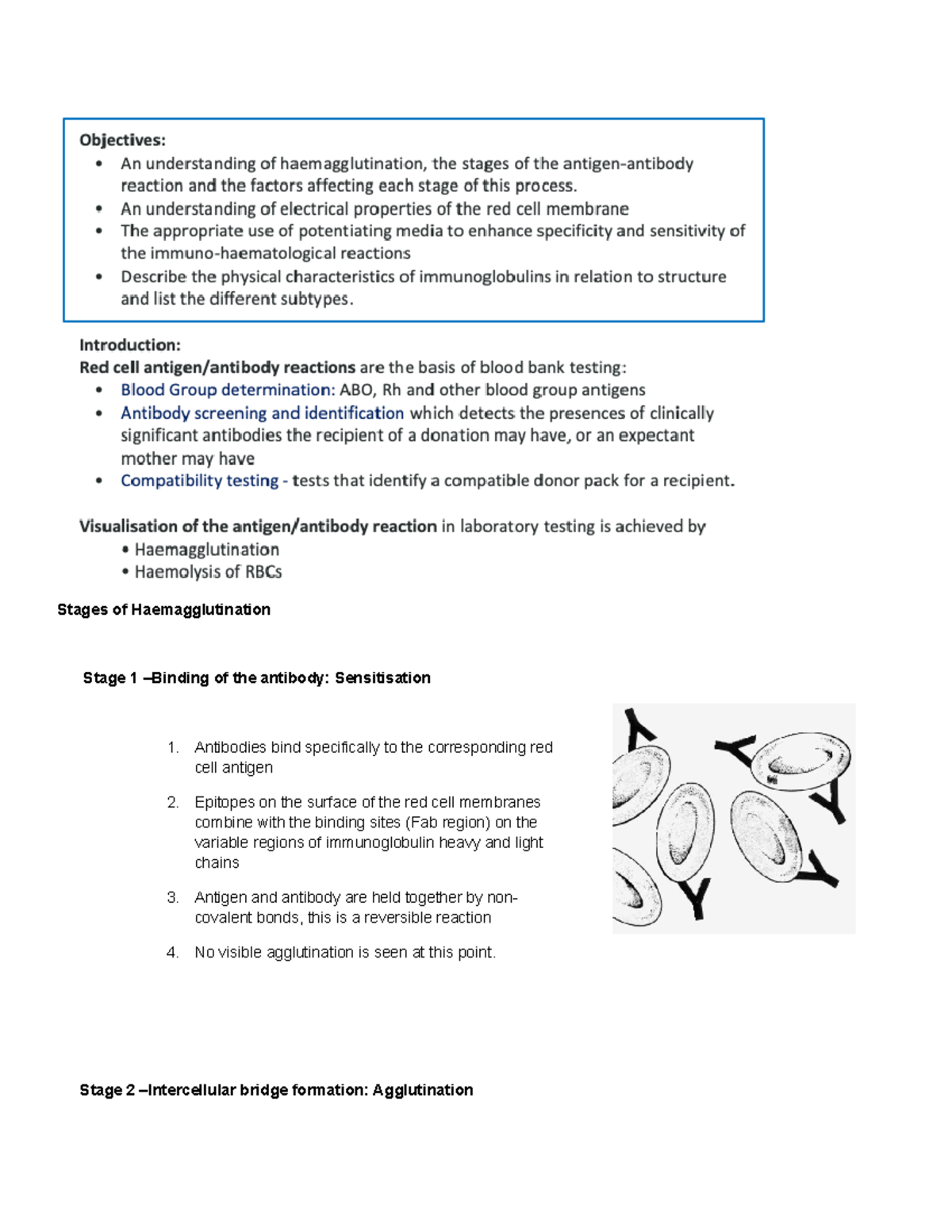 Stages of Haemagglutination - Stages of Haemagglutination Stage 1 ...