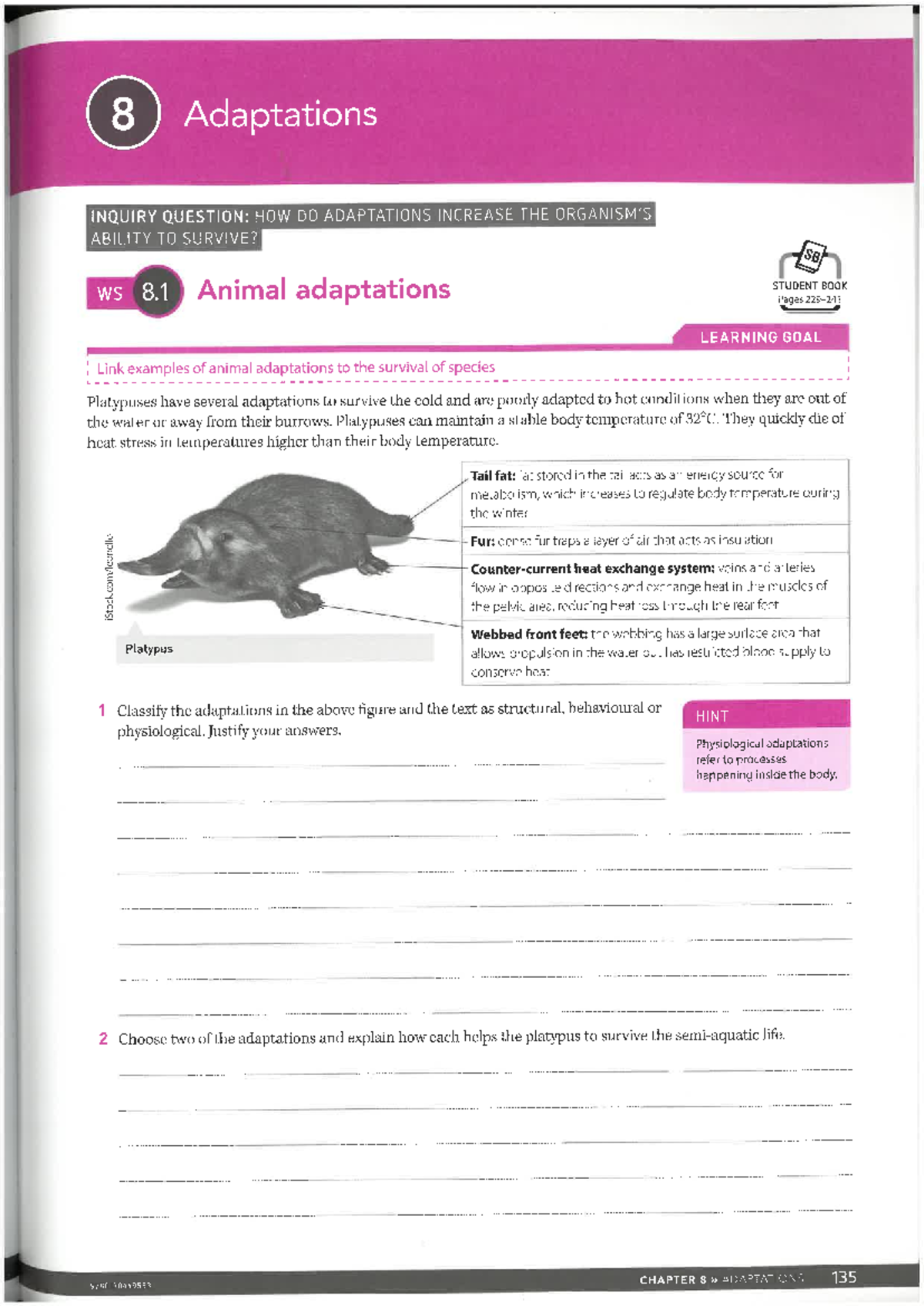 Plant and animal adaptations worksheets - 8 Adaptations INQUIRY ...
