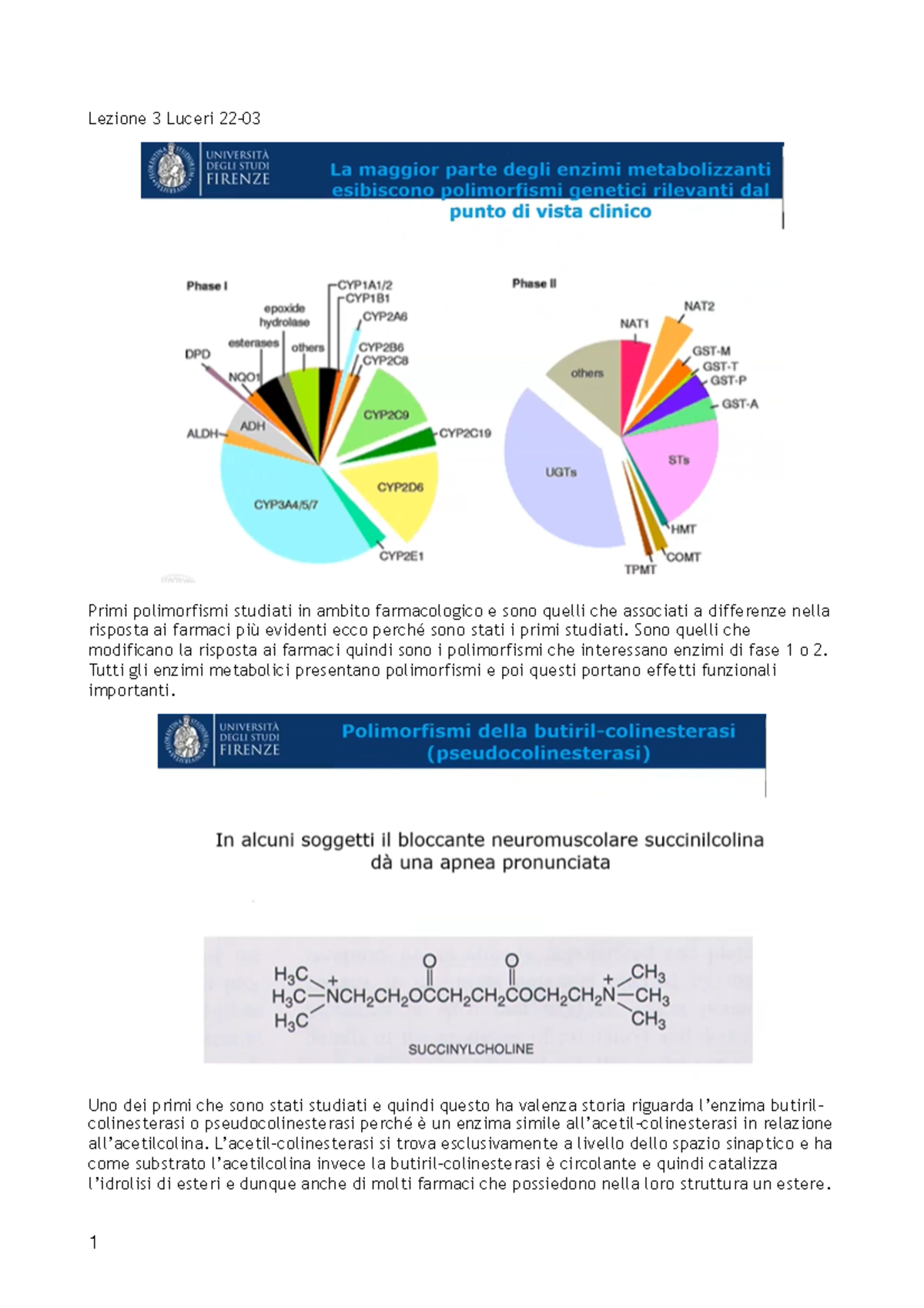 Lezione 3 Luceri 22-03 2 - Lezione 3 Luceri 22- Primi polimorfismi ...