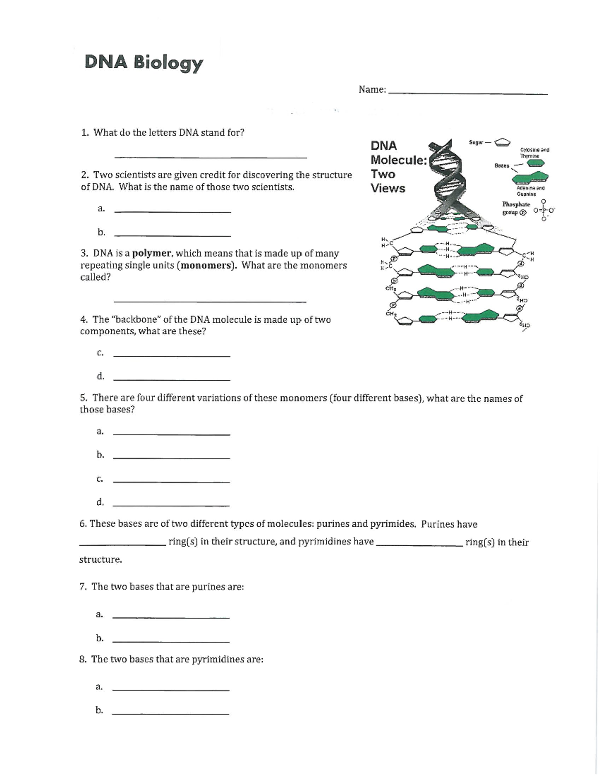 DNA wksheet - its homewrok. - BIOL1104 - Studocu