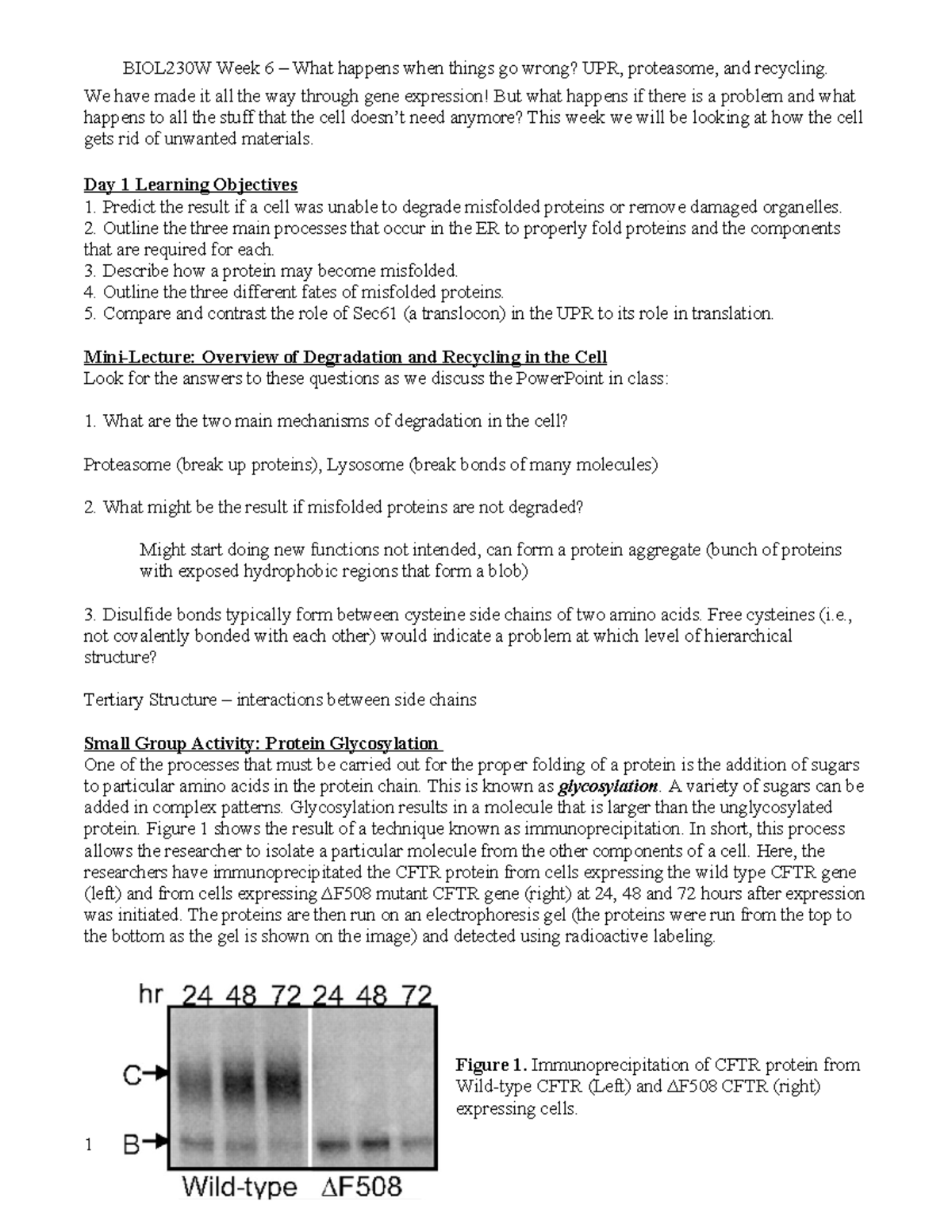Week 6 Packet - Student - We have made it all the way through gene ...