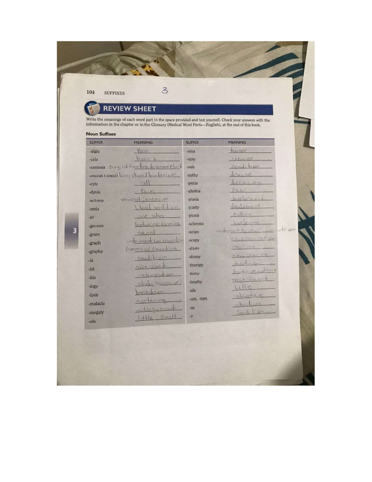 Chapter 3 review sheet - Inglés Técnico en Salud II - Studocu