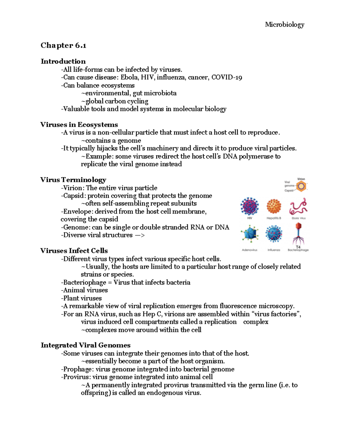 Micro 6.1 Outline - Microbiology Chapter 6. Introduction -All life ...