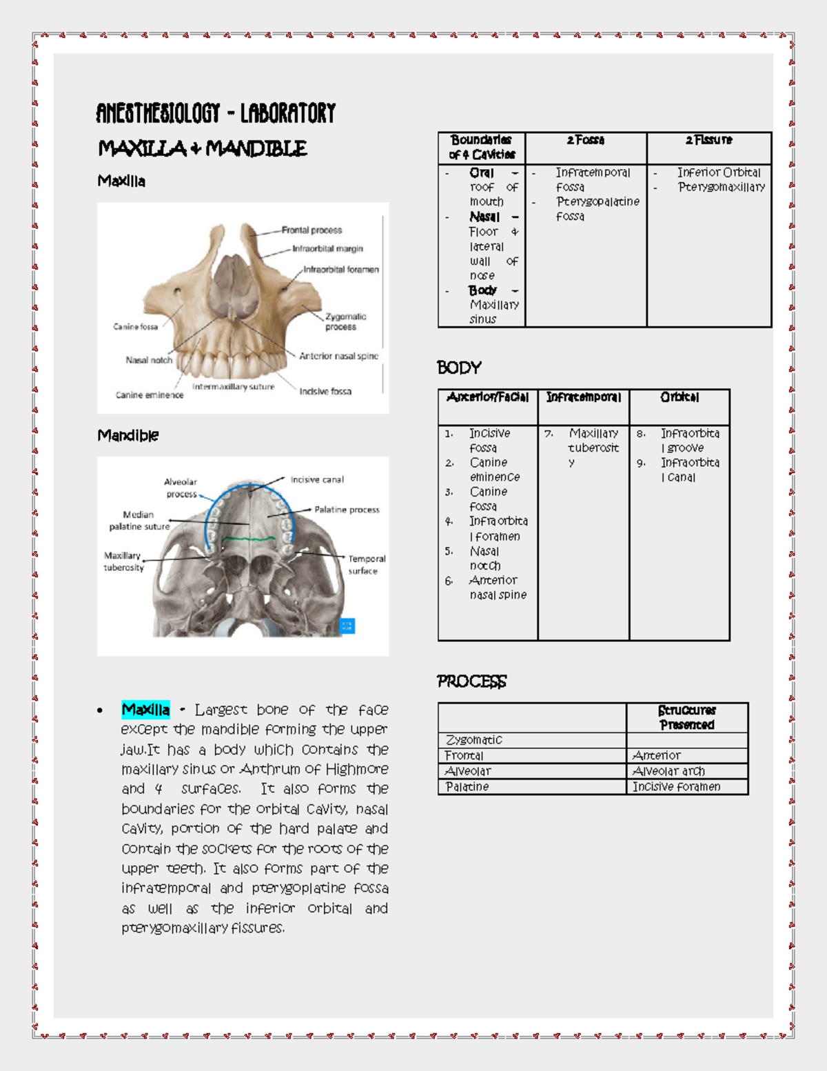 Anesthesiology Laboratory Reviewer - ANESTHESIOLOGY - LABORATORY ...