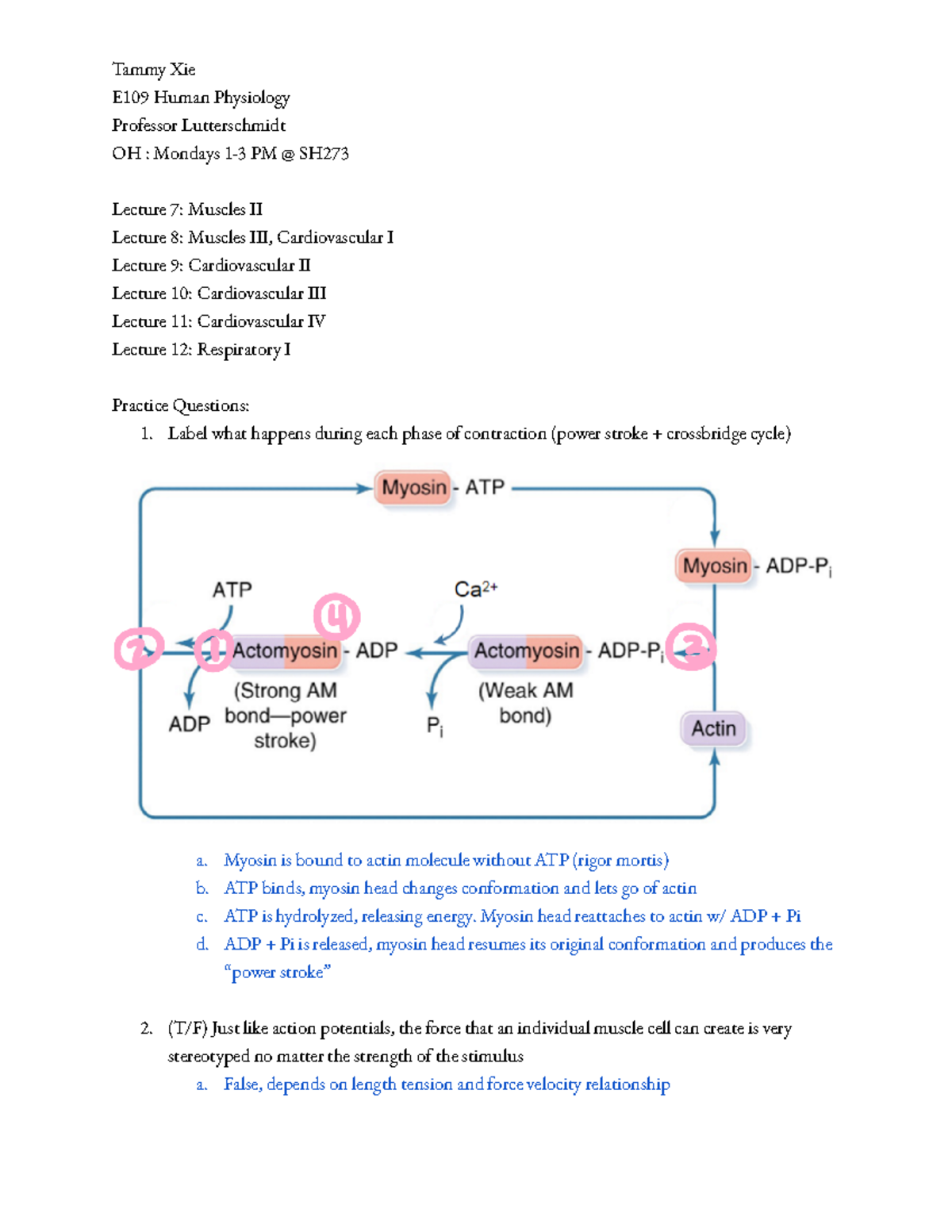 E109 Tammy Week 5 + 6 (Answers) - Tammy Xie E109 Human Physiology Professor Lutterschmidt OH ...