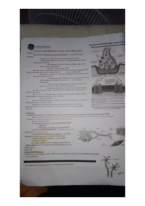 Anatomy - Anaphysio summary from SAS 1-6 - Lecture MODULE 1 Anatomy ...