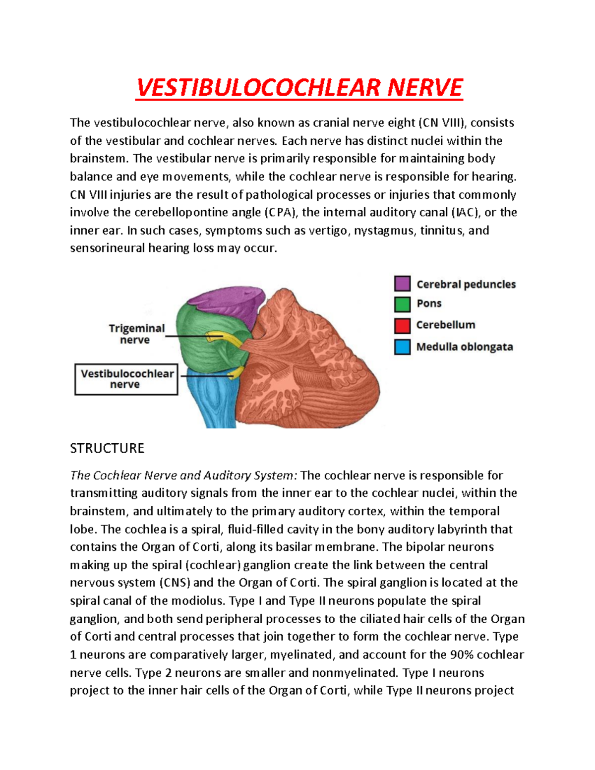 Vestibulocochlear Nerve - VESTIBULOCOCHLEAR NERVE The vestibulocochlear ...