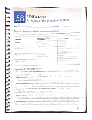 Anatomy of the respiratory system exercise 36 review sheet - BIO 108 ...