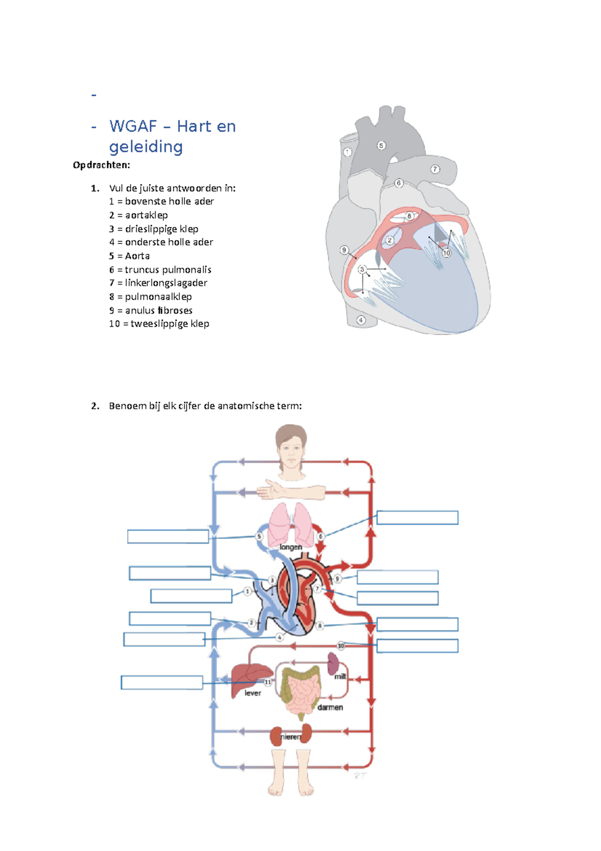 WGAF- Hart en geleiding Studentenversie - WGAF – Hart en geleiding ...