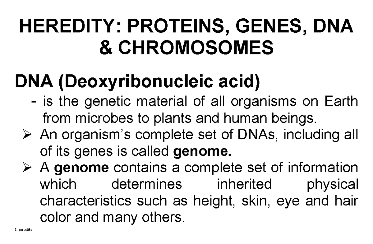 Heredity - HEREDITY: PROTEINS, GENES, DNA & CHROMOSOMES DNA ...