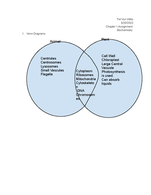 Flyer- Self Critique - Assignment/coursework - Tre’Von Willis 11/13/ 2B ...