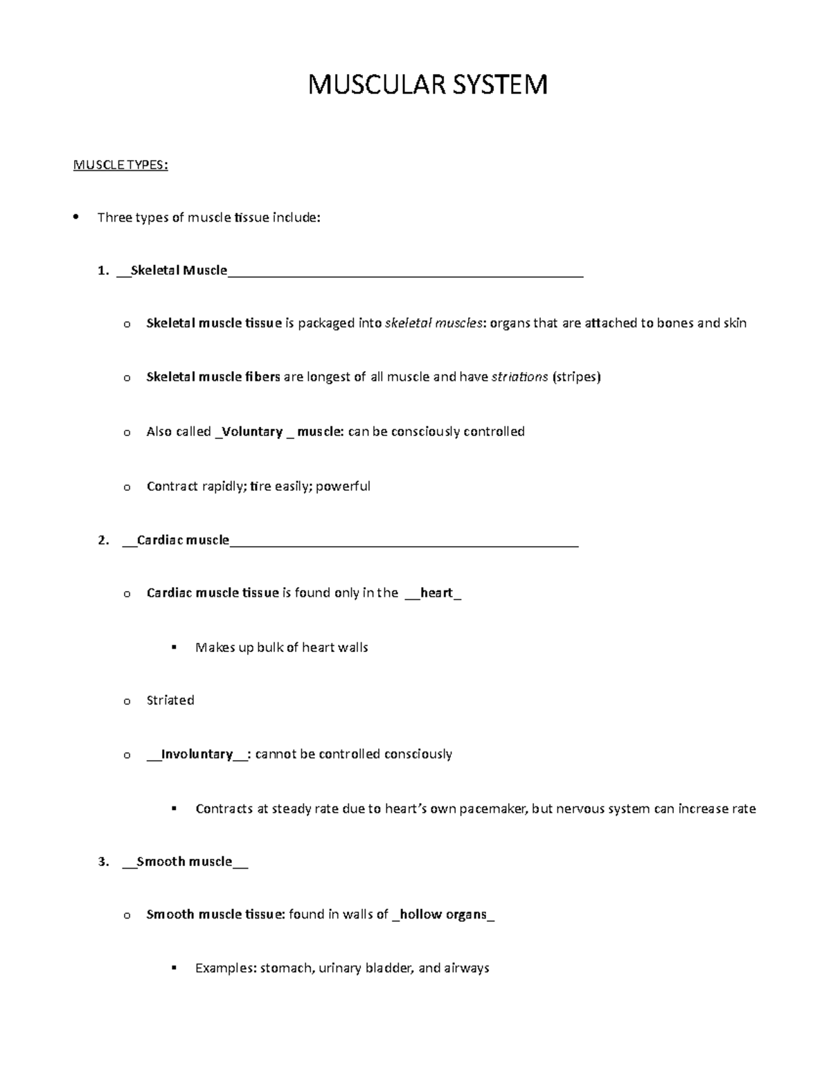 Muscular system - Fill in the blank partial done with burns - MUSCULAR ...