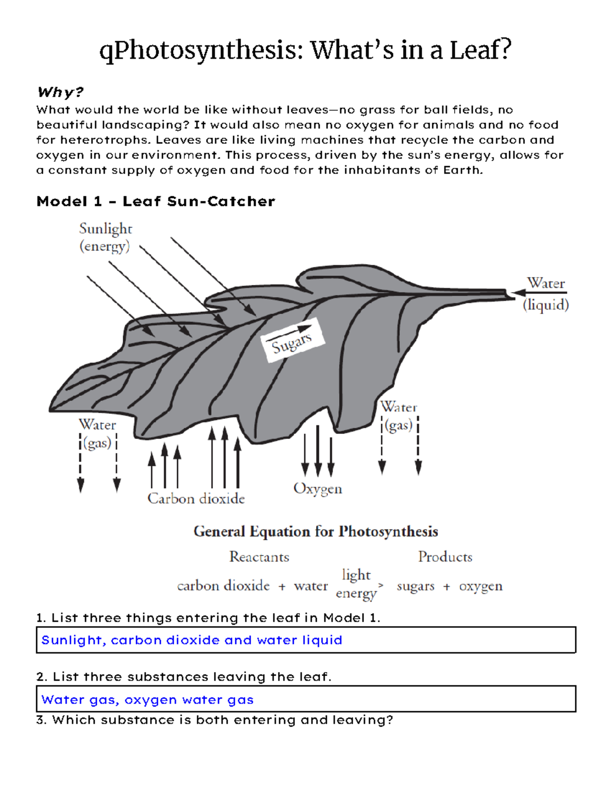 Photosynthesis What’s in a Leaf - qPhotosynthesis: What’s in a Leaf ...